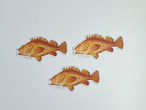 Yellow- Eyed Rockfish Sticker | Sea Spray AK