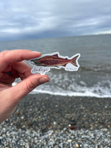 Red Sockeye Salmon Vinyl Sticker, Fishing Sticker, Salmon Sticker ...