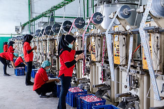 BERANDA | PT MITRA INTI RASA