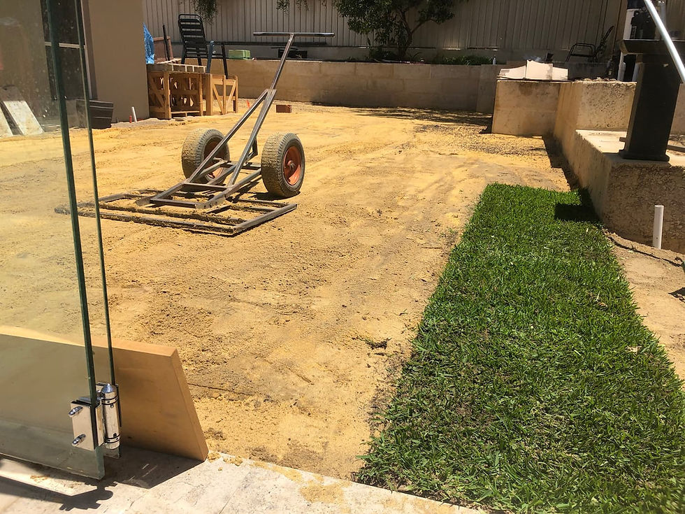 INSTALL | Ord Valley Turfnstallation | Ord Valley Turf | Empire Zoysia ...