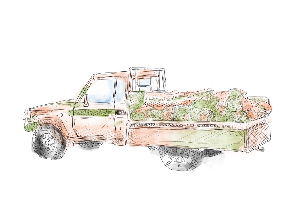 INSTALL | Ord Valley Turfnstallation | Ord Valley Turf | Empire Zoysia ...