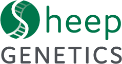 About | Haldane Genetics | Australian Sheep Breeding and Fertility