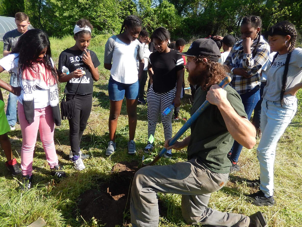 Why Baltimore Has One Of The Uss Most Diverse Urban Tree Canopies