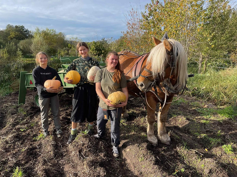 Feeding the World While Healing the Planet—the Genius of Permaculture