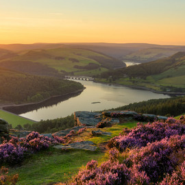 sheffield | electric works