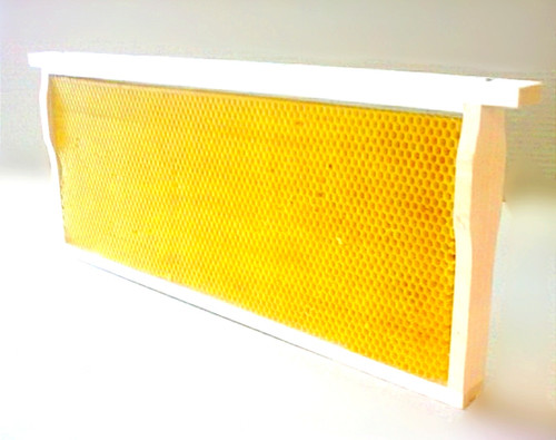 Drawn Beeswax Comb x 10 | Humble Bee