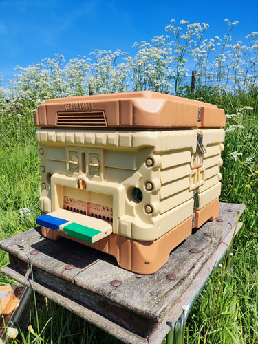 APIMAYE Defender Hive | Humble Bee