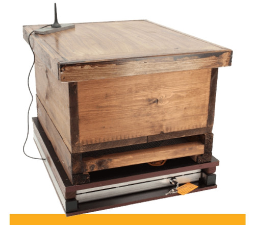 ApiGraph Smart BeeHive Scales | Humble Bee