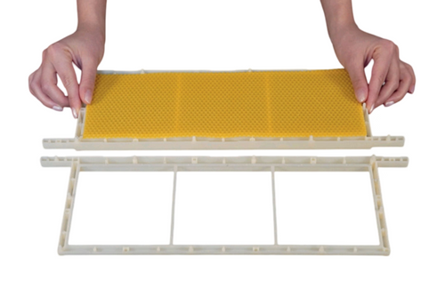 Apimaye National Handy Frames x 10 | Humble Bee