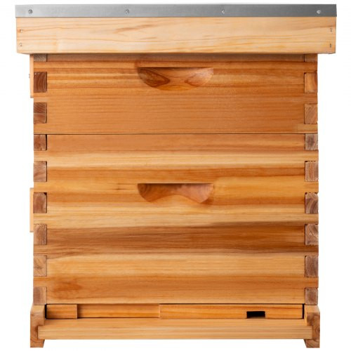 Langstroth Cedar Observation hive | Humble Bee