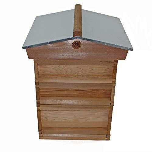 Cedar Hive | Humble Bee
