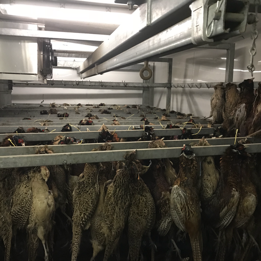 Home | Ox Close Fine Foods | UK