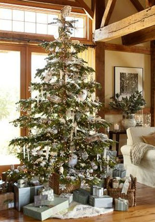 Little Bear Tree Farm | u-cut Christmas tree farm | 960 Meadow Road ...