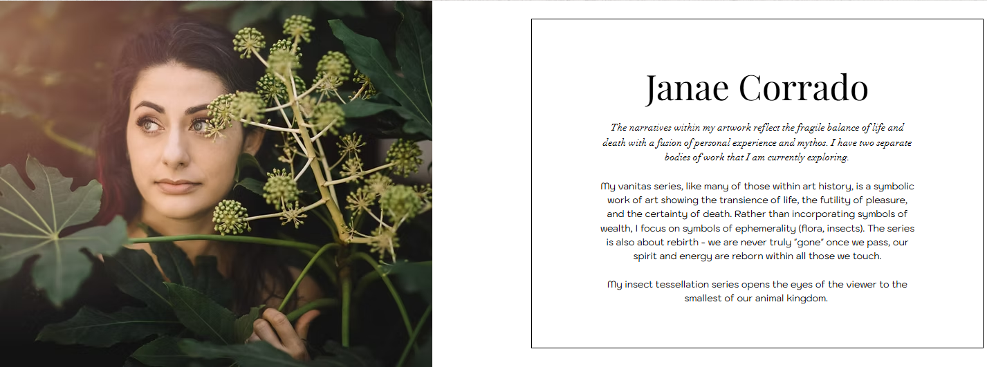 Best Art Portfolio Examples In 2025