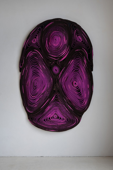 insectum series | Joana Schneider