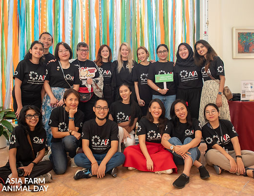 Asia for Animals | A United Voice for Asia's Animals