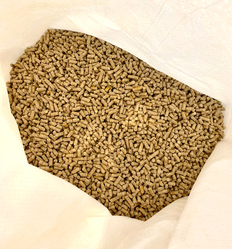 Chicken Layer High Protein Feed | River Nutrition