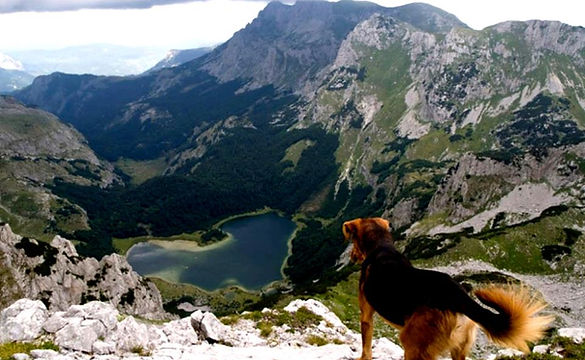 Planina Maglic | proba