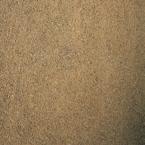 Sand Cardstock | Scrappers Cove