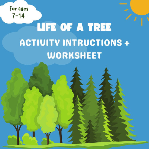 Life of a Tree Activity | Outdoortopia