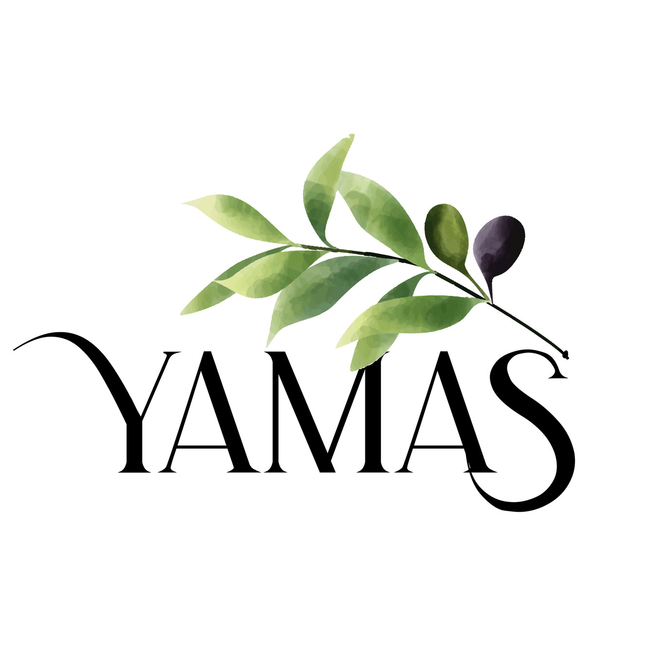 HOME | Yamas Food