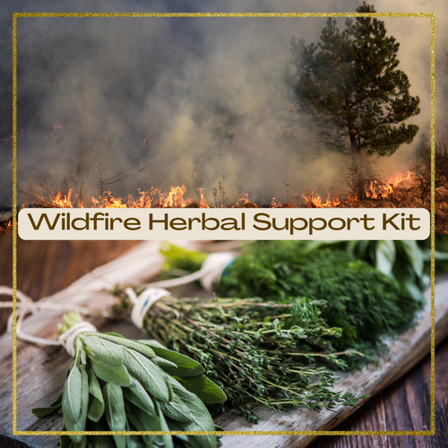DIY Wildfire Herbal Support Kit Digital Download | Acknowledge Wellness