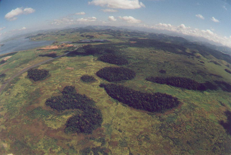 Fragmentação de populações - Consequências Ambientais