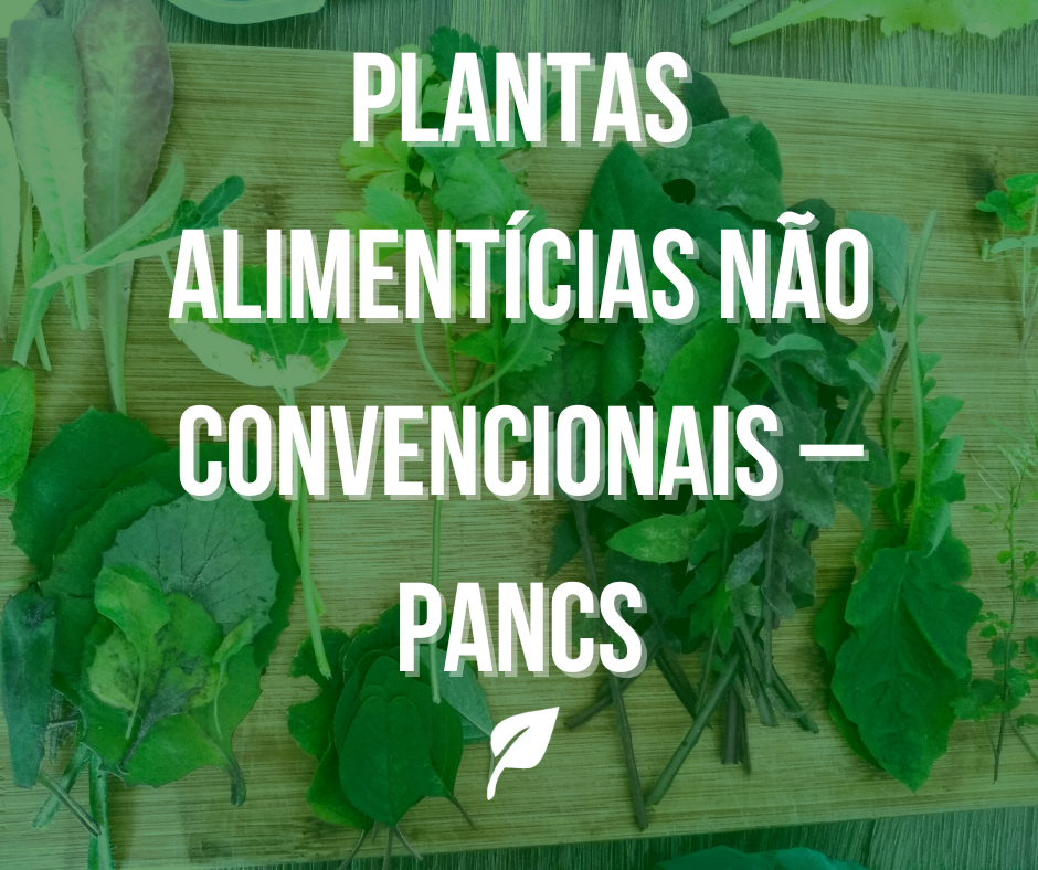 O que são as PANCs?
