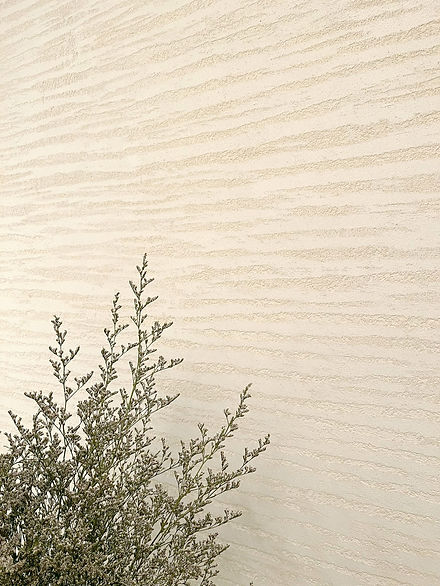 Clay Lime Plaster Lezard