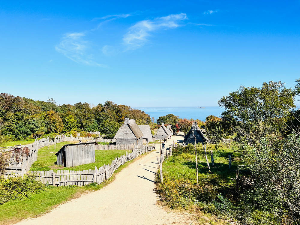 The PILGRIM Experience