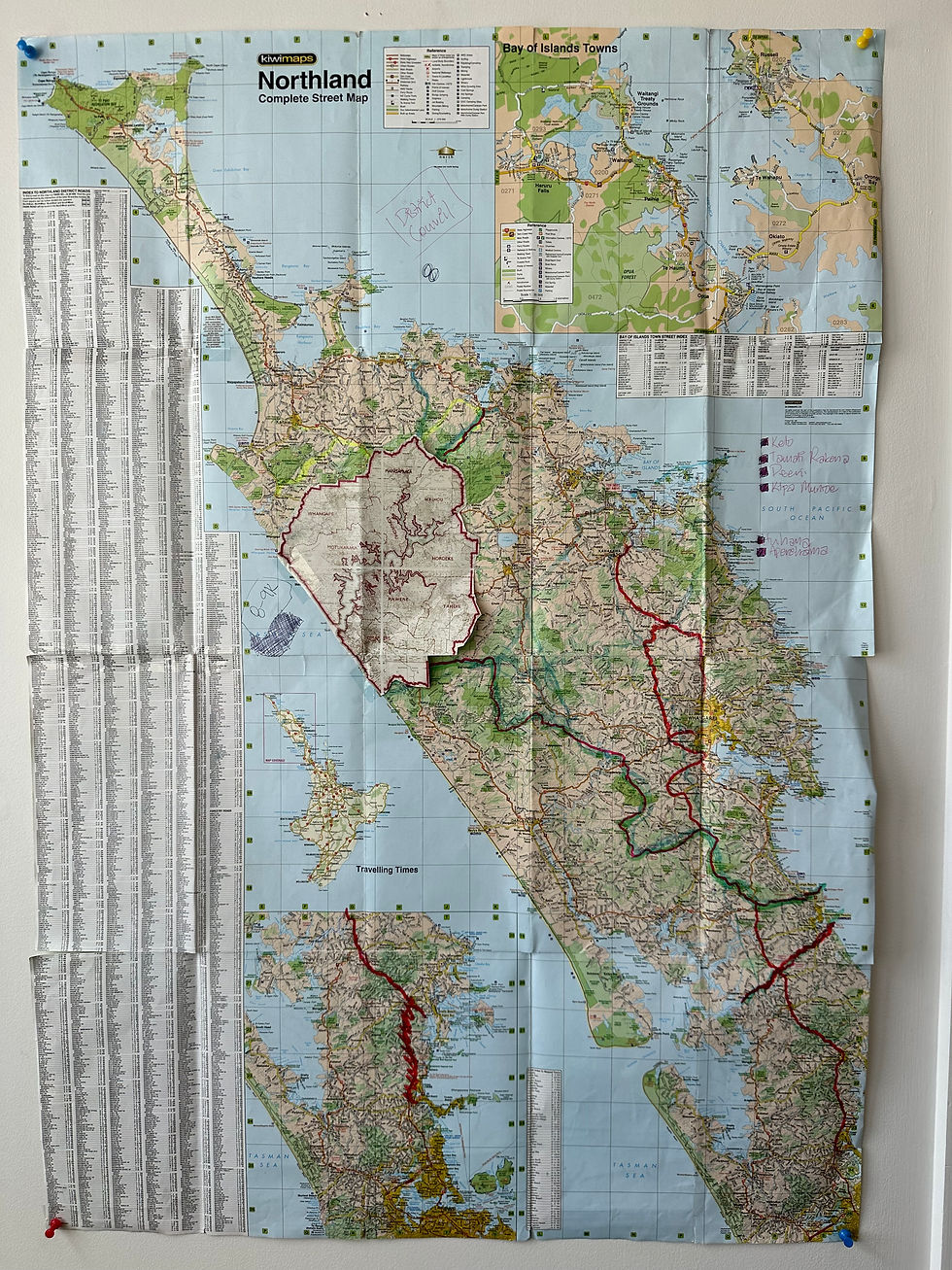 Te Taumatata Hauora o Te Tai Tokerau IMPB | December 2023 | Pānui #3 ...