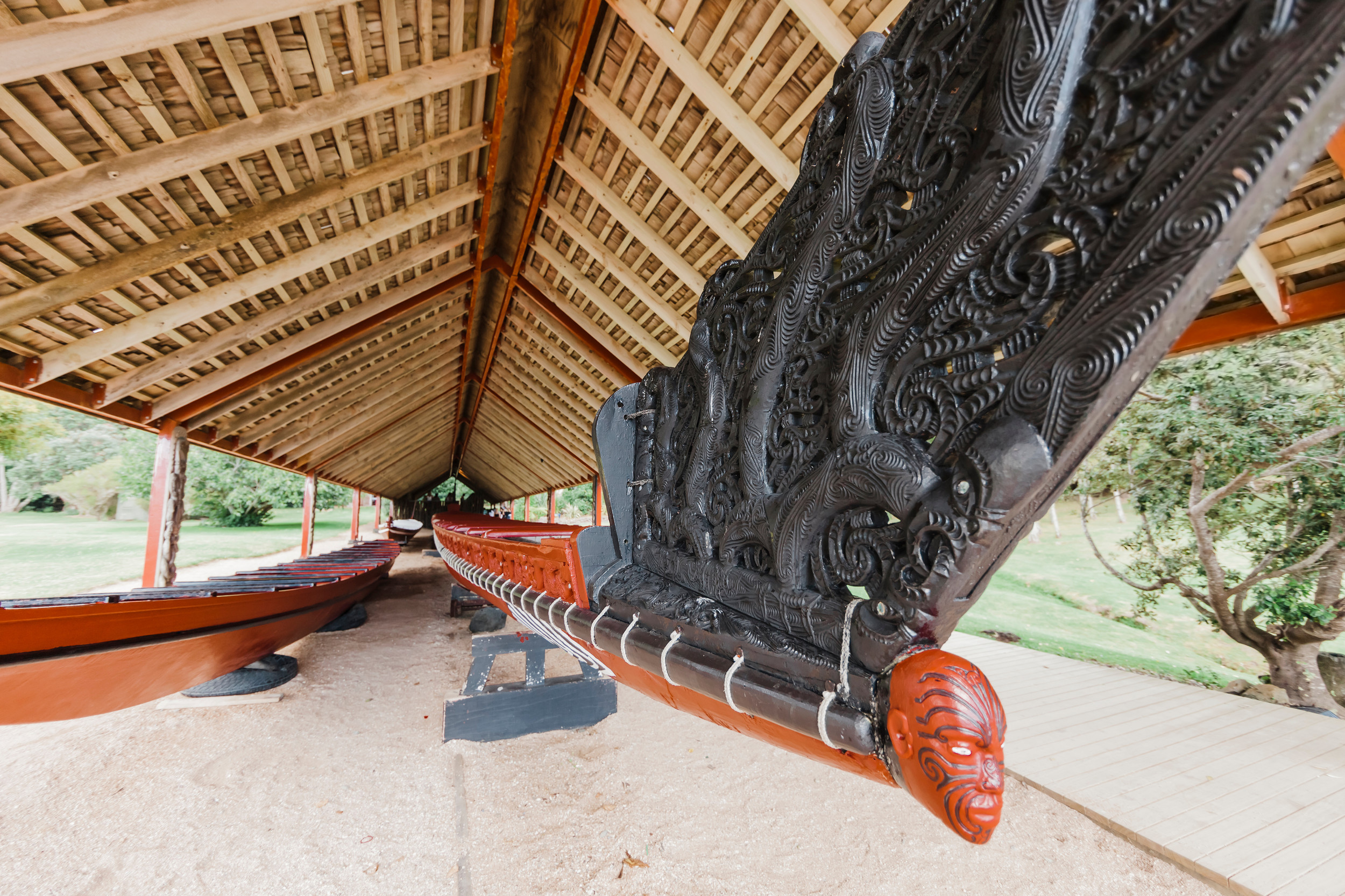 Pou Tangata condemns the disestablishment of Te Aka Whai Ora – what is ...