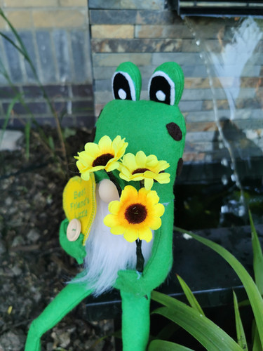 "Lizzie" The Frog | Gonkland