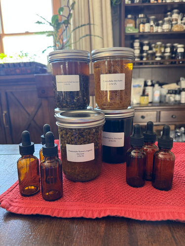 Herbal Tincture (select flavor) | Wicks Chicks & Treats