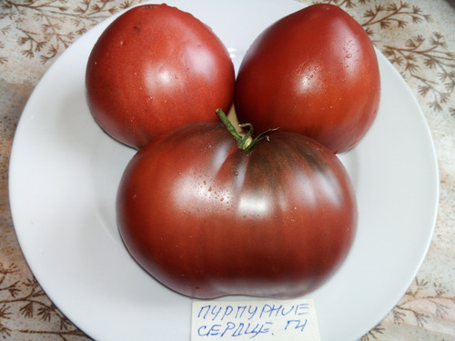 Гном Пурпурное сердце | mir-tomatov