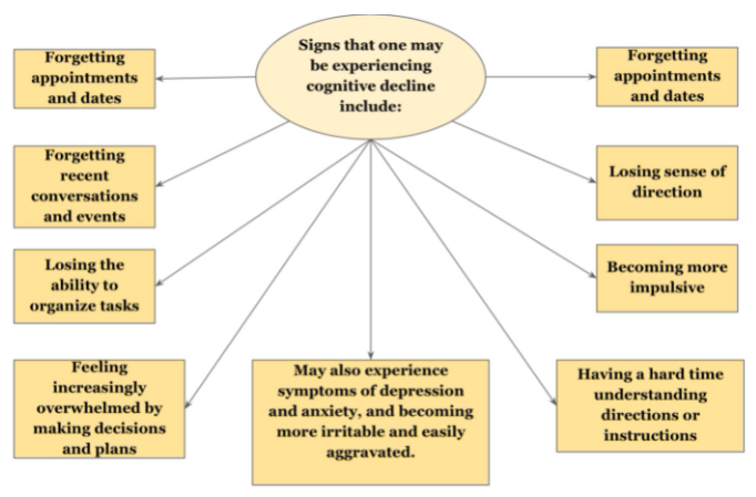 COGNITIVE DECLINE IS REAL - and here is how you can stop it