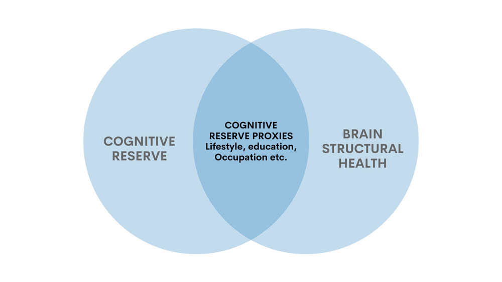 COGNITIVE (BRAIN) RESERVE - What is it and how does our Lifestyle ...