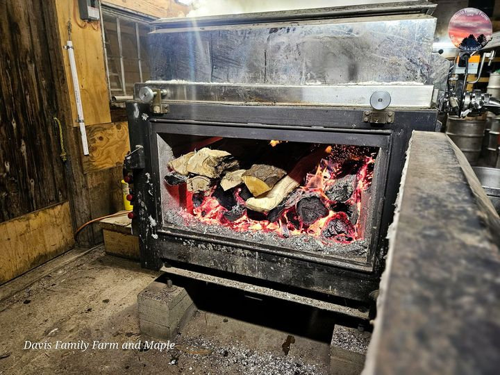 Unlocking the Secrets of Maple Syrup