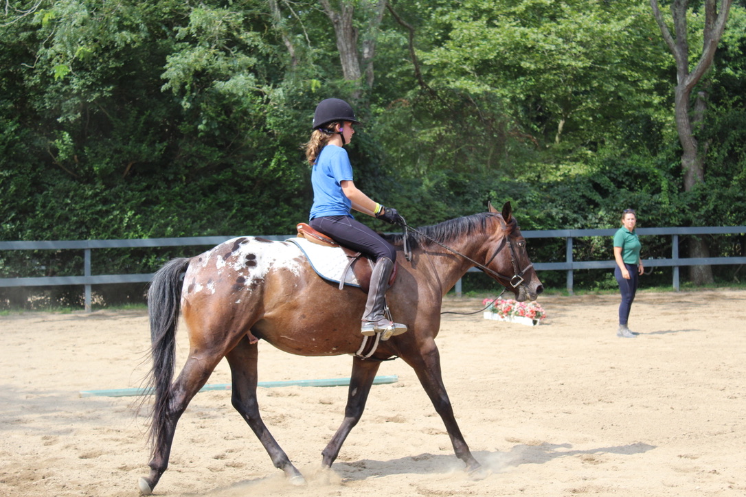 LESSONS | Stony Hill Stables