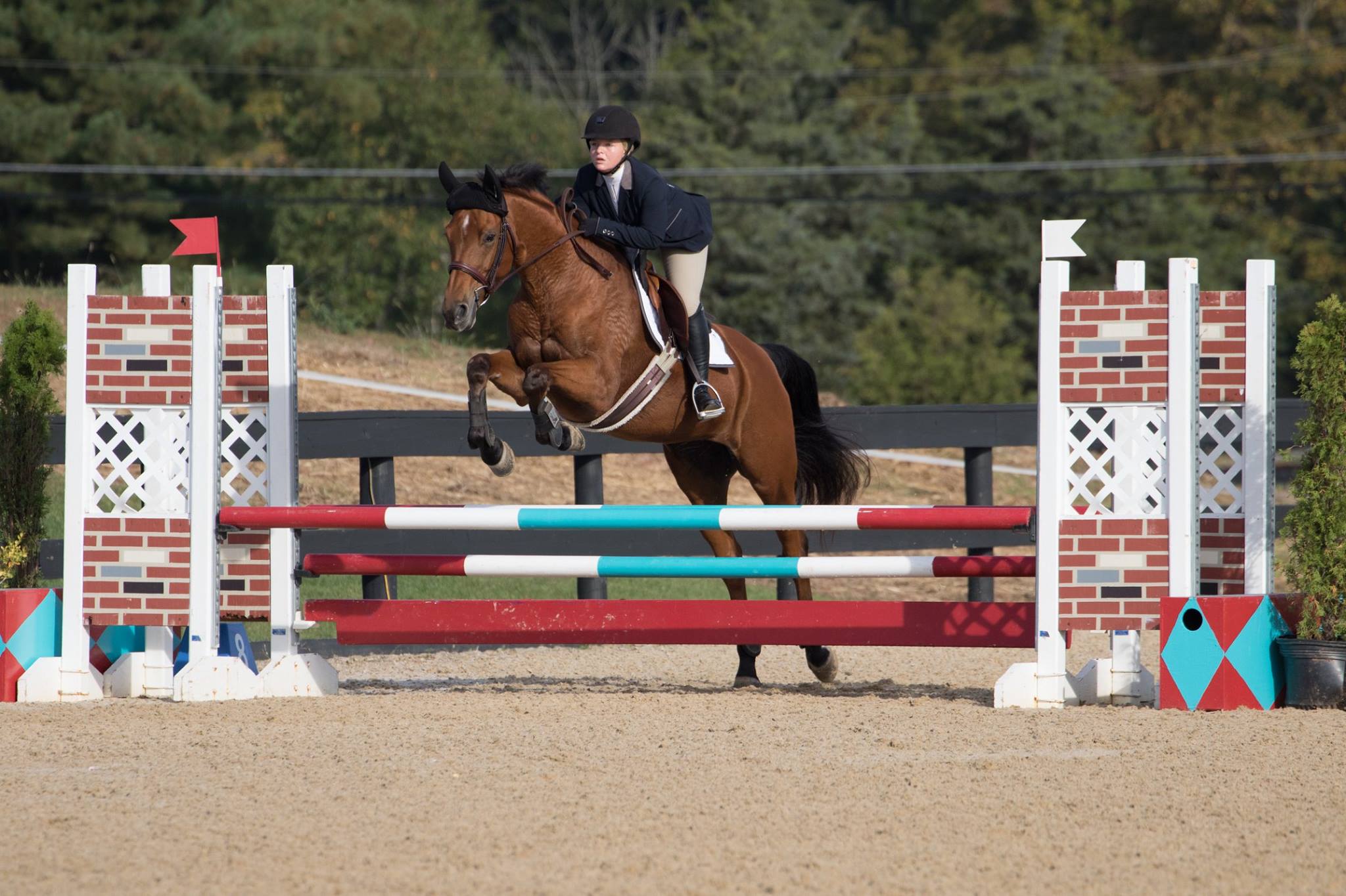 HOME | Stony Hill Stables