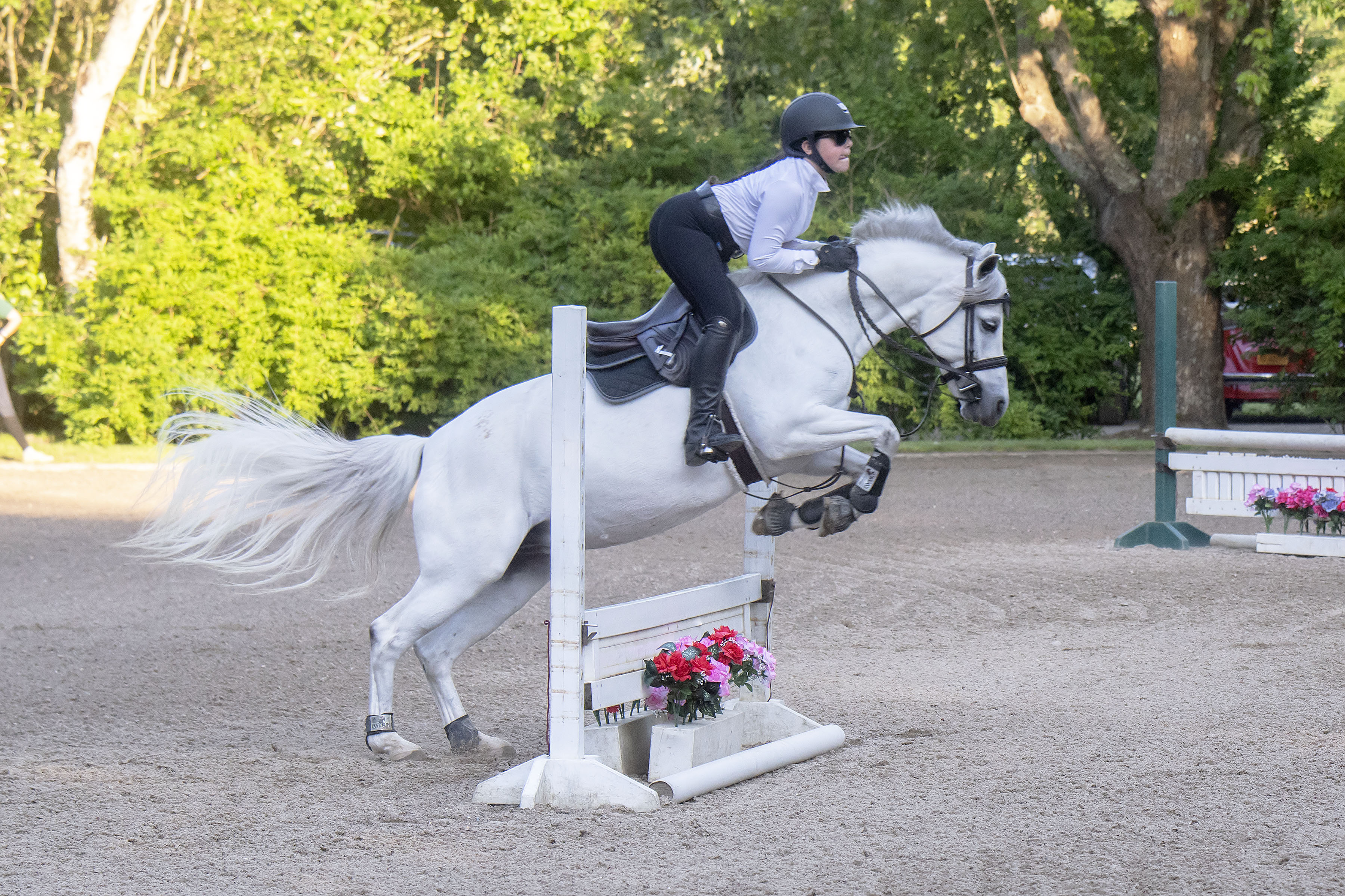 LESSONS | Stony Hill Stables