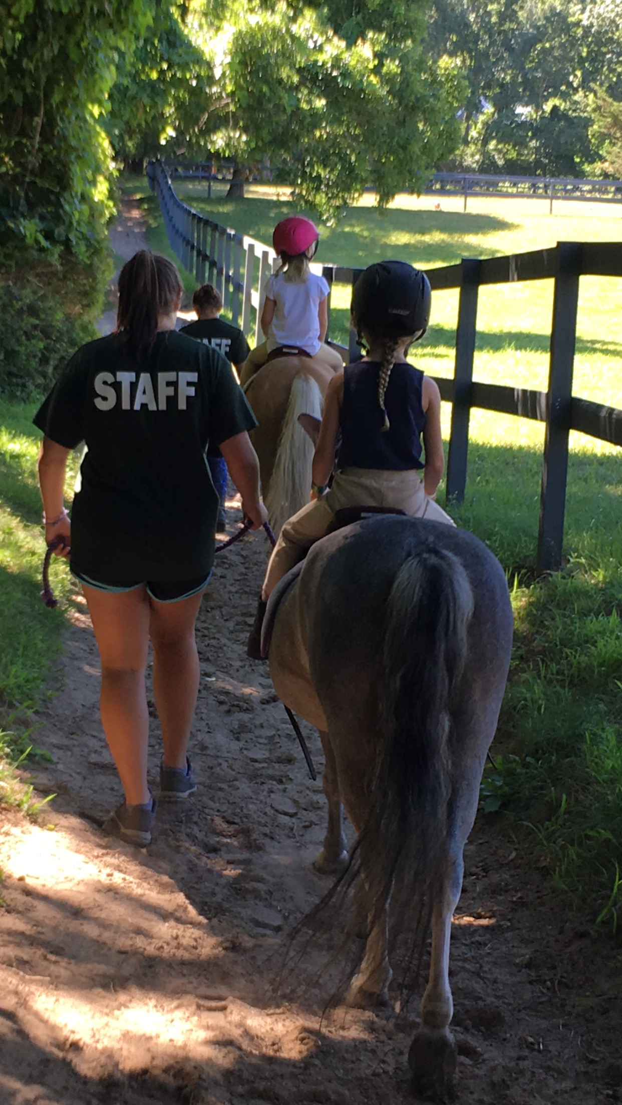 NEWS | Stony Hill Stables