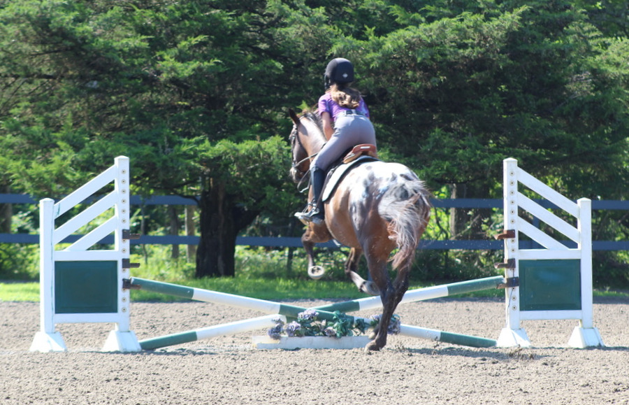 LESSONS | Stony Hill Stables