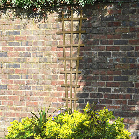Forest Traditional Fan Trellis 60w x 180h | Pepper’sGardenCentre