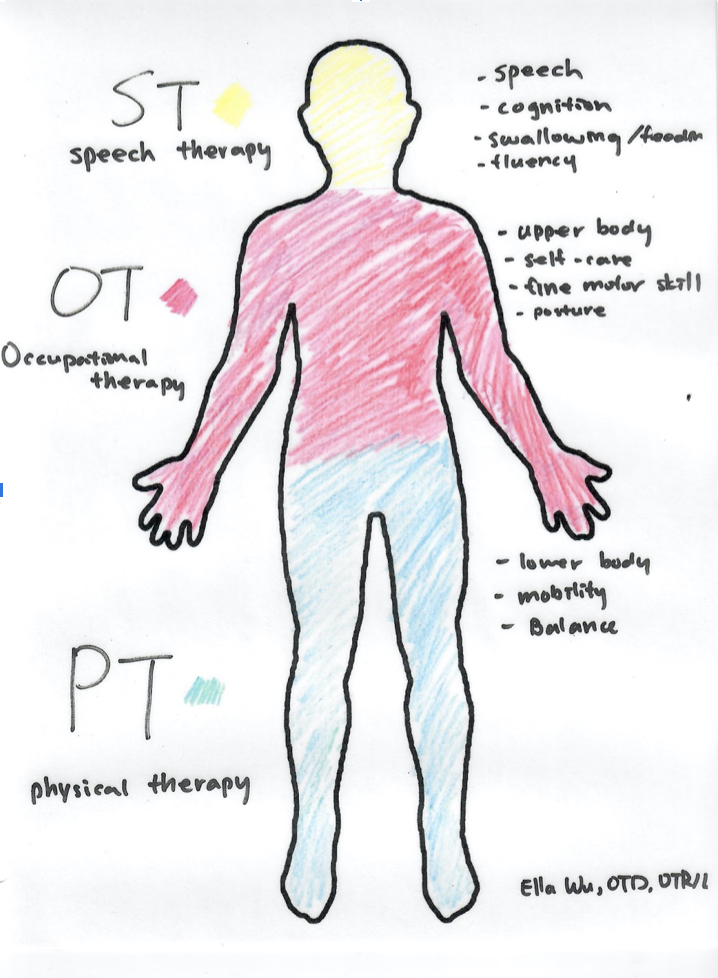 What Is Occupational Therapy?