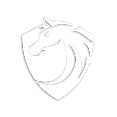 Team Stallion | eSports