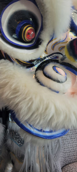 Dragon & Lion Dancing | Guiding Mountain Dragon & Lion Dance Association