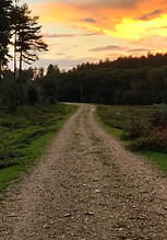 Instructed Activities | Ferny Crofts Scout Activity Centre | Lyndhurst