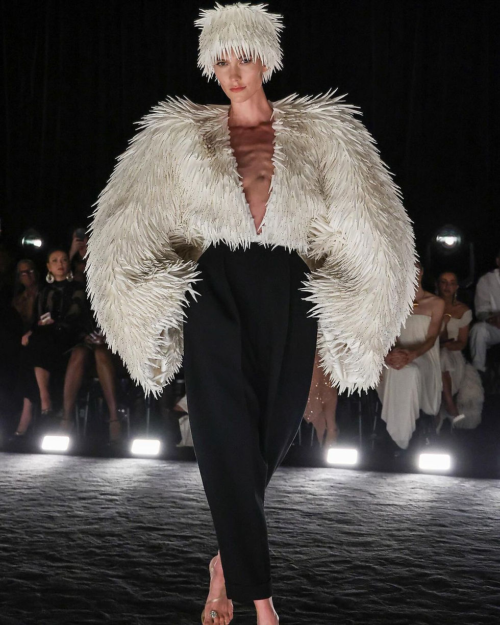 The Phoenix: Daniel Roseberry's Masterful Collection for Schiaparelli