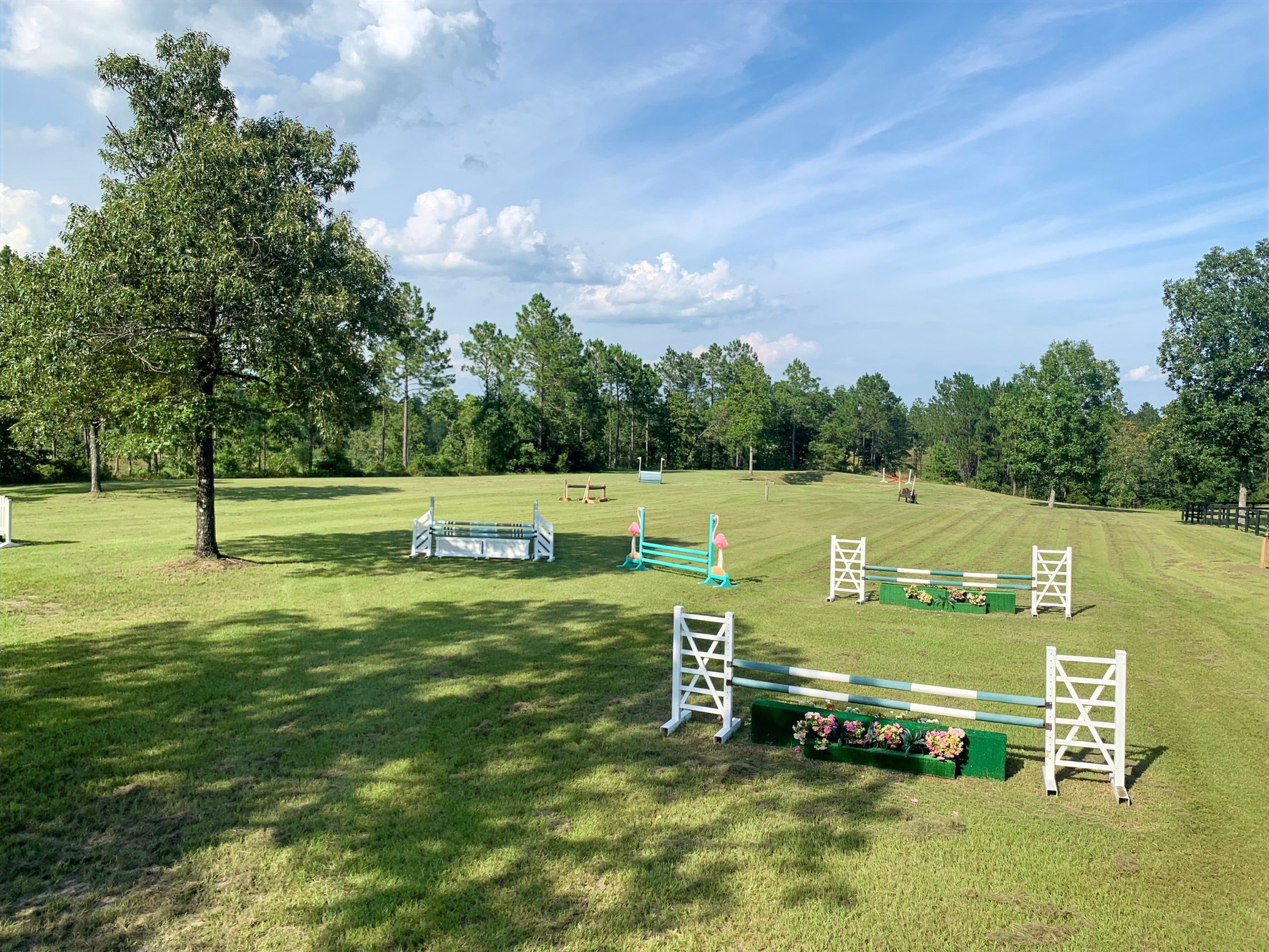 Equestrian Training And Board | Magnolia Meadow Stables | Aiken